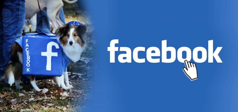 9 Reasons To Put Your Dog Breeding Business On Facebook