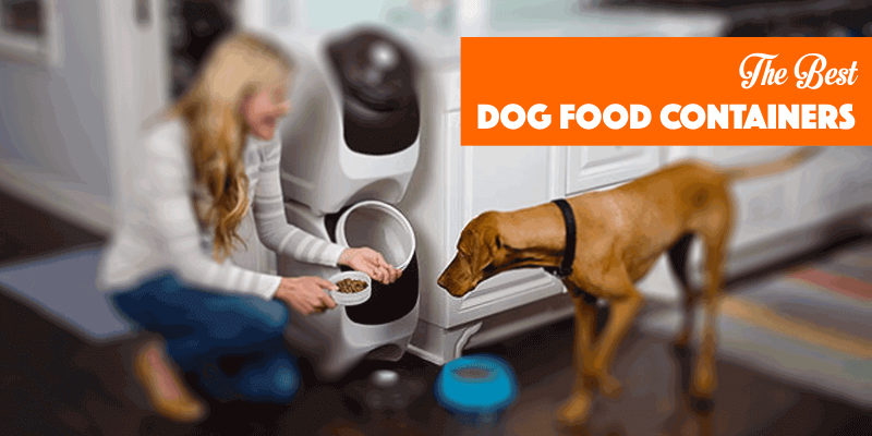 5 Best Dog Food Containers – For Storing Dog's Kibble