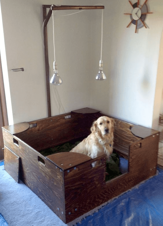 Cat Nesting Box Ideas Cat Birthing Box Ideas Cat Birthing Box,Whelping ...