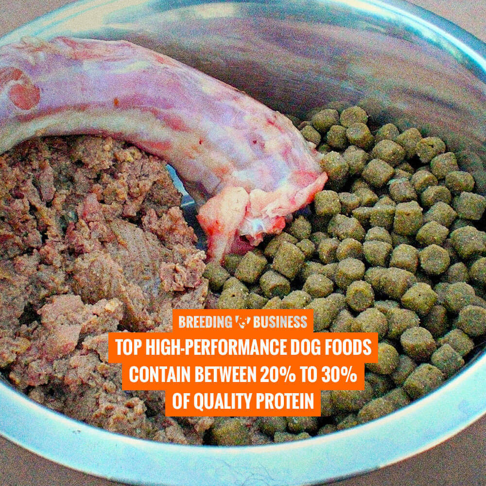Top 7 Des Meilleurs Aliments pour Chiens Pour Chiens Athlétiques ...